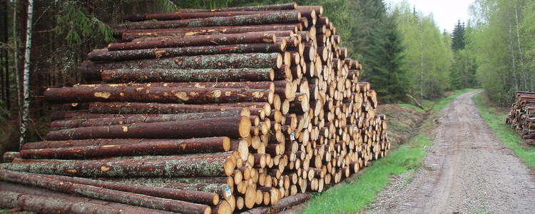 Swedish Wood Measurement Act - Skogsstyrelsen