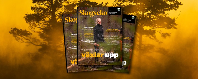 Vår tidning Skogseko - Skogsstyrelsen