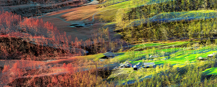 Digital Open Forest data - Skogsstyrelsen
