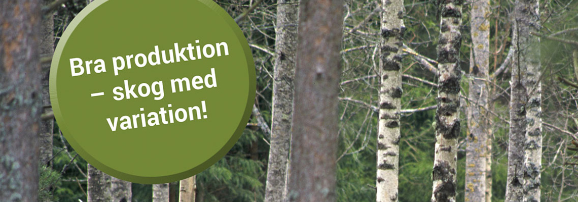 Skogsstyrelsen - Skogsstyrelsen