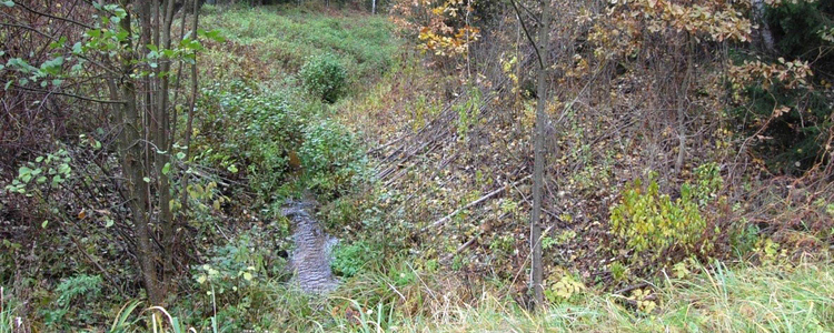 Skogsstyrelsen - Forest drainage